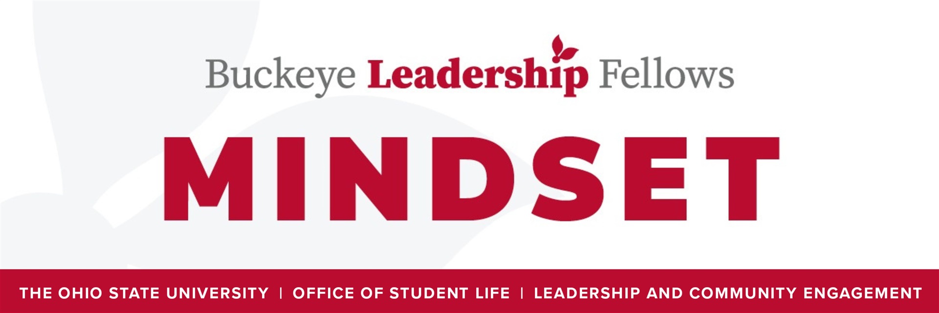 Buckeye Leadership Fellows Program